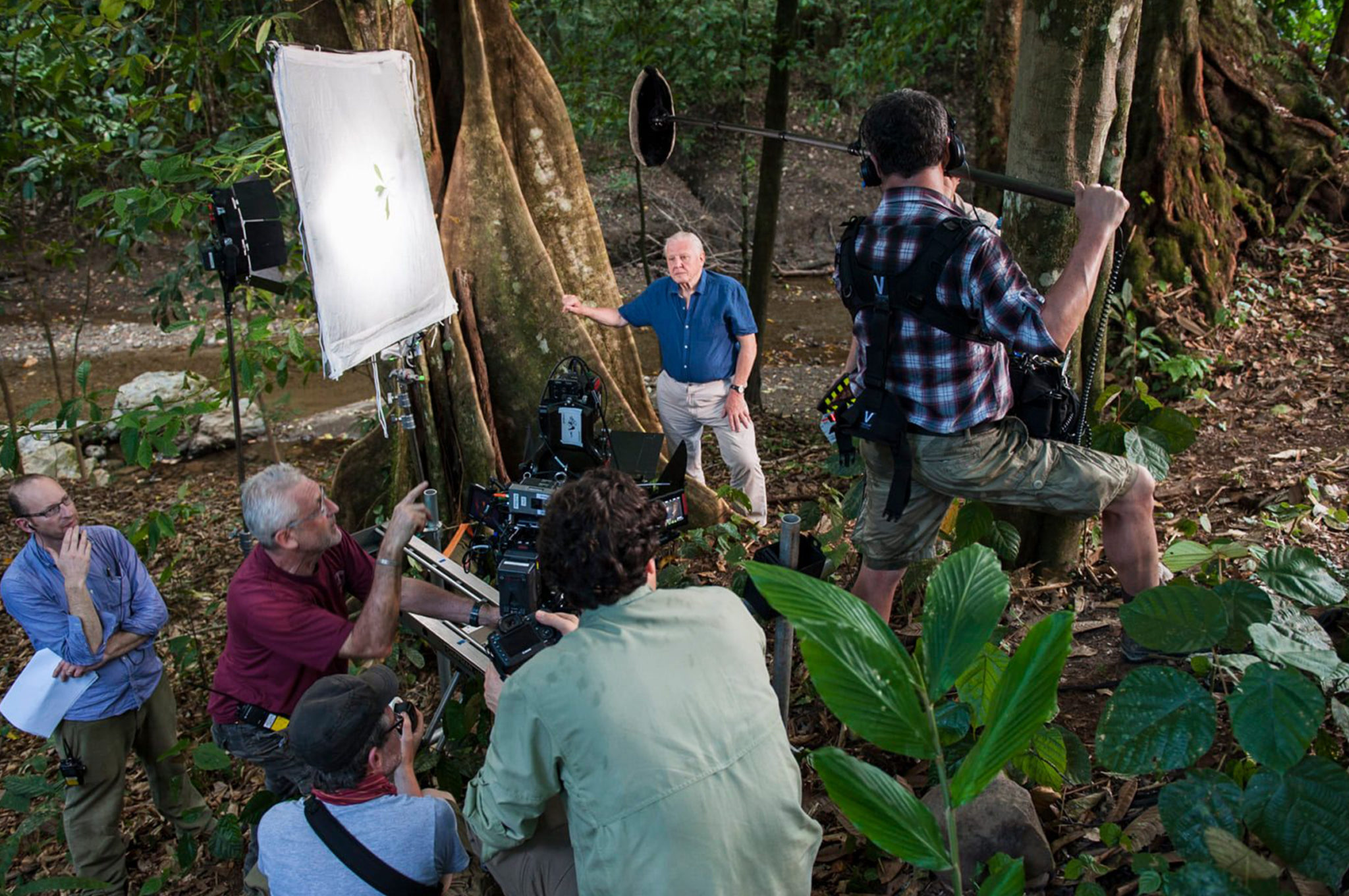 Scubazoo Images | Underwater Filming | Photography