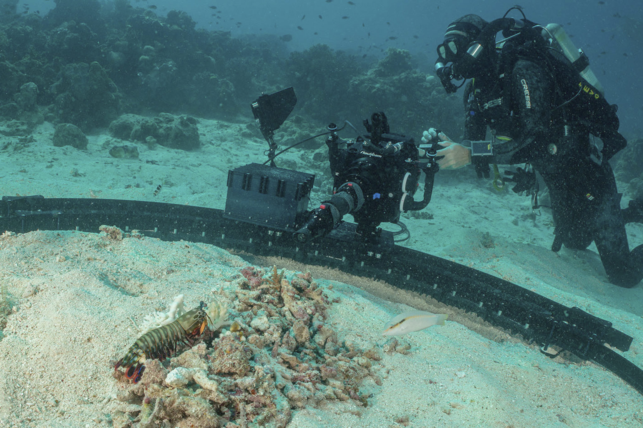 FIXING & LOCATION MANAGEMENT | Scubazoo Images